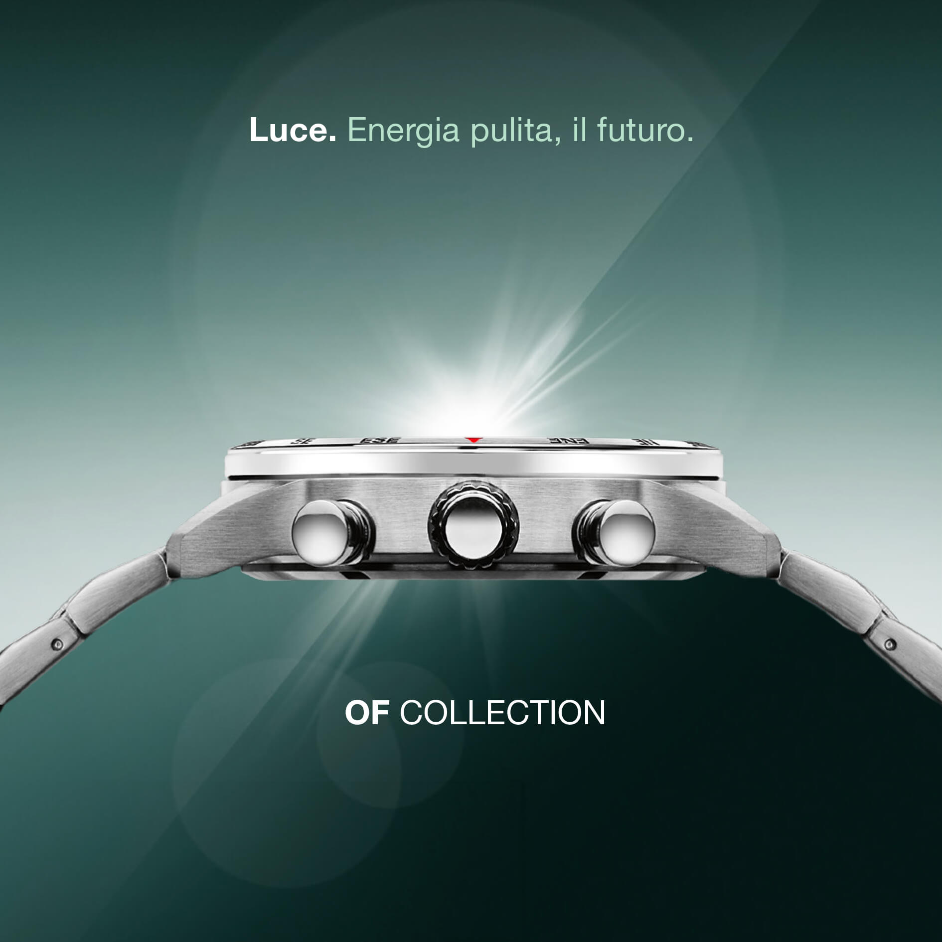 Citizen Watch Italy | Download brochure